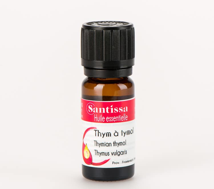 Thym à thymol - Plante fleurie / Thymus vulgaris / Thymian Thymol ...